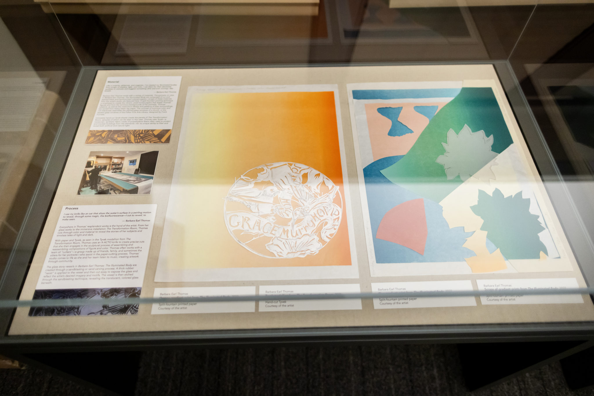 Barbara Earl Thomas: In Process | Arthur Ross Gallery